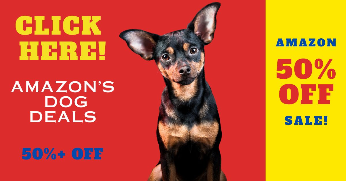 Peruvian Inca Orchid: The Graceful And Mysterious Dog Of The Andes ...